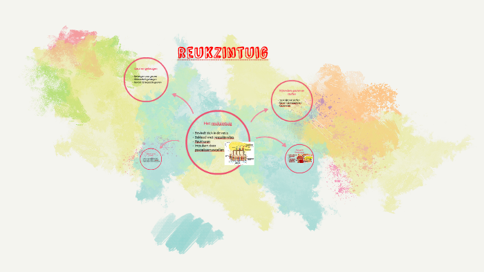 reukzintuig by rebecca de jongh on Prezi