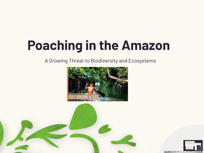 Poaching in the Amazon by Isaias Jorge on Prezi