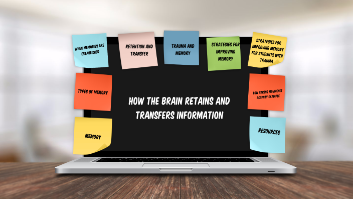 How the brain retains and transfers information by Allison Holden on Prezi