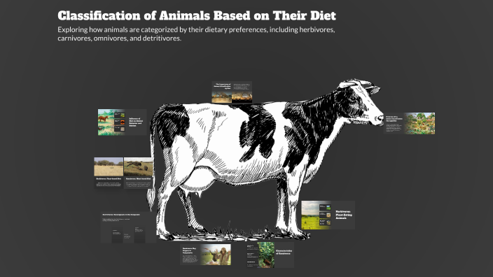 Classification of Animals Based on Their Diet by Cherry Cuervo on Prezi