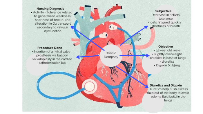 Cardiac Concept Map by chellsie menjivar on Prezi