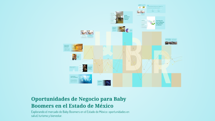 Oportunidades de Negocio para Baby Boomers en el Estado de México by ...