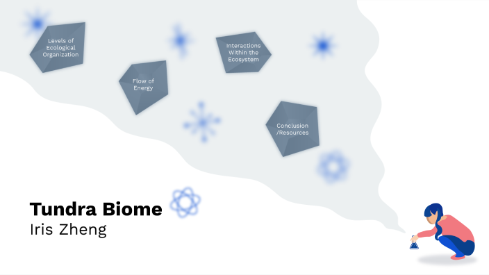 Iris - Tundra Biome Project by Iris Zheng on Prezi