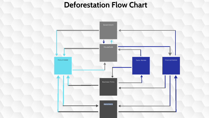 Deforestation Flow Chart (WIP - 6/15/22) by Leo Ewasko on Prezi