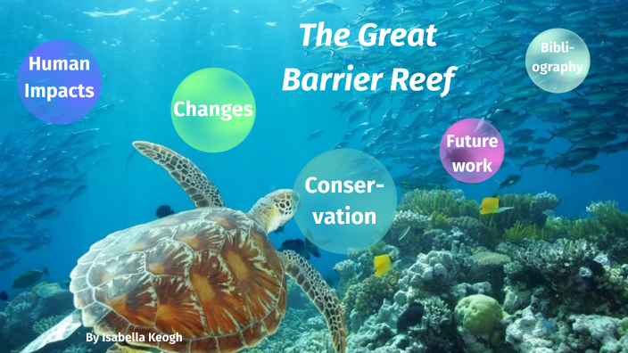 The Great Barrier Reef by Isabella Keogh on Prezi