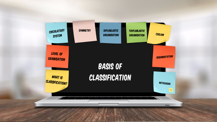 Basis Of Classification by KHUSHI . on Prezi