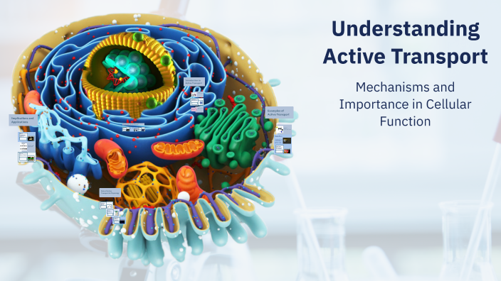Understanding Active Transport by Llr In gici on Prezi