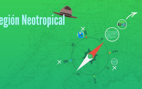 Región Neotropical by Alez Lawrence on Prezi