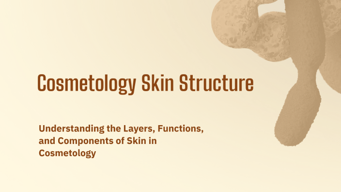 Cosmetology Skin Structure by Sarah Rondo on Prezi
