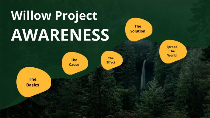Willowproject by patrick heret on Prezi