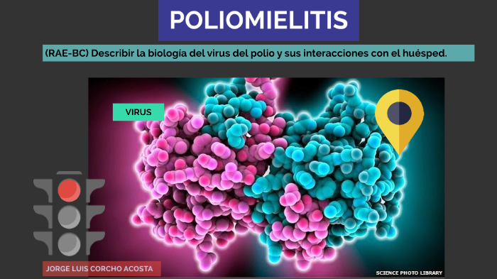 POLIOMIELITIS by jorge luis on Prezi