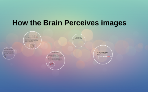 How the Brain Perceives images by Edgar Morales on Prezi