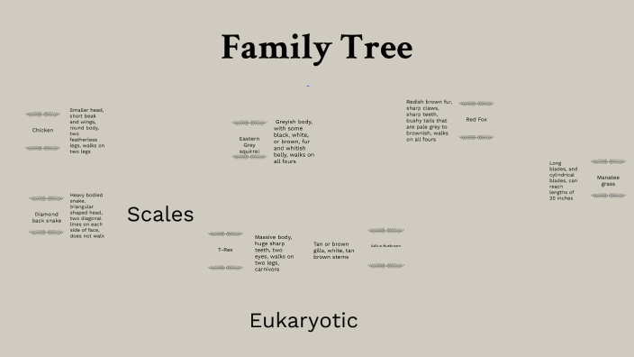 Tree of life by James M on Prezi