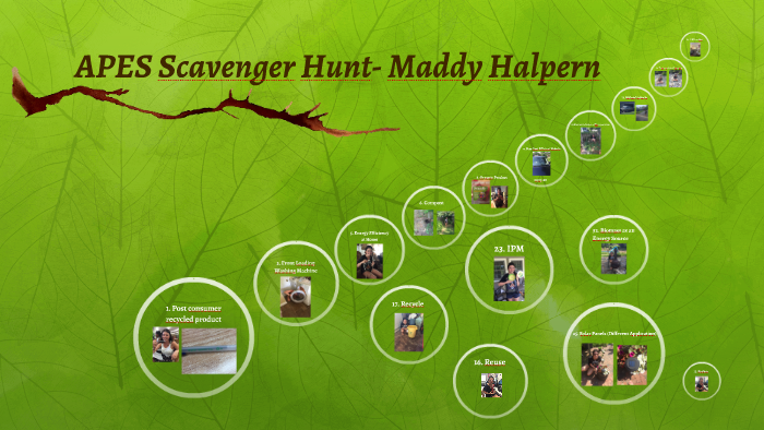APES Scavenger Hunt by Maddy Halpern on Prezi