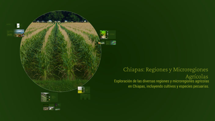 Chiapas: Regiones y Microregiones Agrícolas by Ruben Enrique Pinto ...
