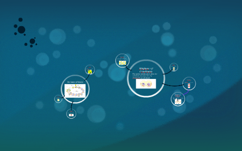 The Meiosis Cycle by Emma Tupa on Prezi