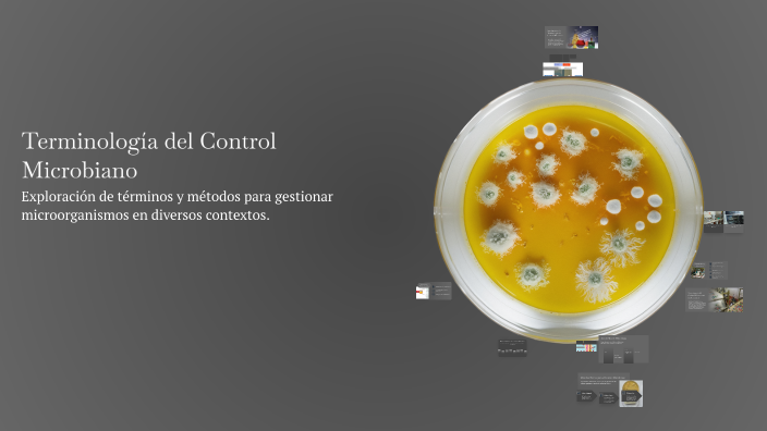 Terminología del Control Microbiano by florencia micaela on Prezi