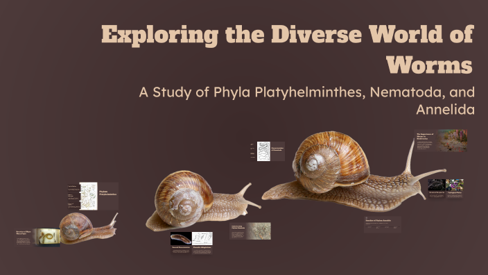 Exploring the Diverse World of Worms by Renz Sanchez on Prezi