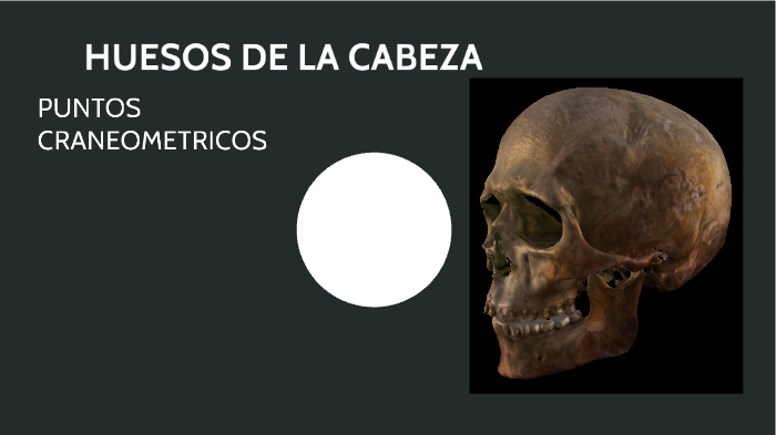 Puntos Craneometricos by Alejandro Lorgio Justiniano Melgar on Prezi