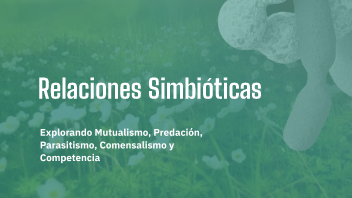 Relaciones Simbióticas by Milagro Elizondo on Prezi