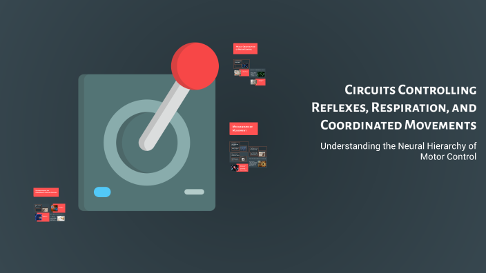 Circuits Controlling Reflexes, Respiration, and Coordinated Movements ...