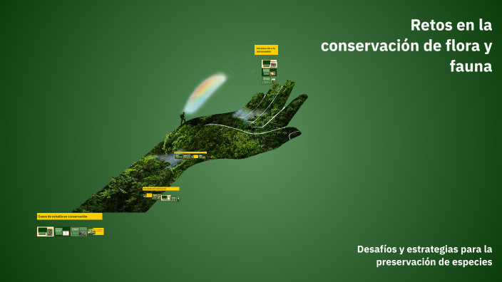 Retos en la conservación de flora y fauna by Monica Velasco on Prezi