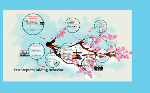Ten Steps to Guiding Behavior by Courtney Boone