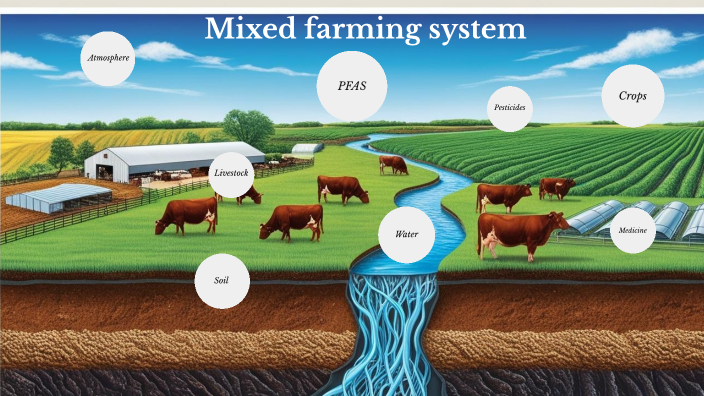 Mixed farming system by Basse Theyse on Prezi