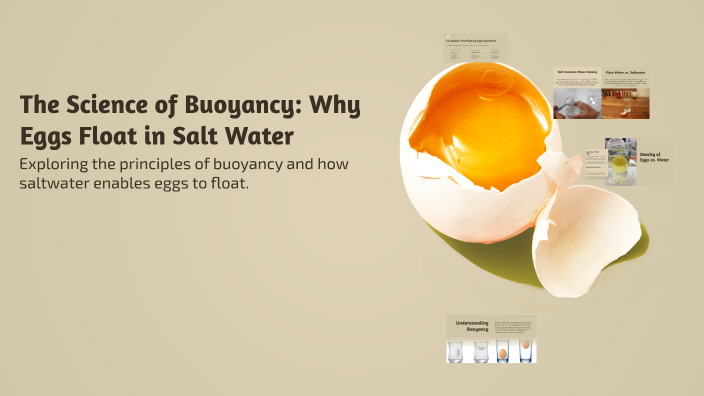 The Science of Buoyancy: Why Eggs Float in Salt Water by Psyche Kyzer ...