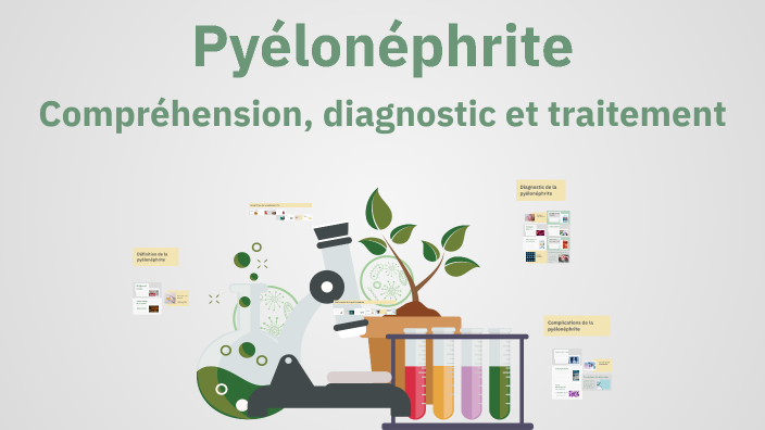 Pyélonéphrite by Lydia Tremblay on Prezi