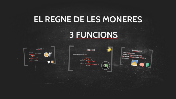 EL REGNE DE LES MONERES by marina jimenez on Prezi