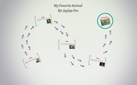 My Favorite Animal by jaylan fox on Prezi