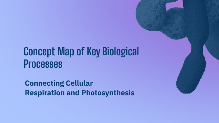 Concept Map of Key Biological Processes by Nico Anders on Prezi