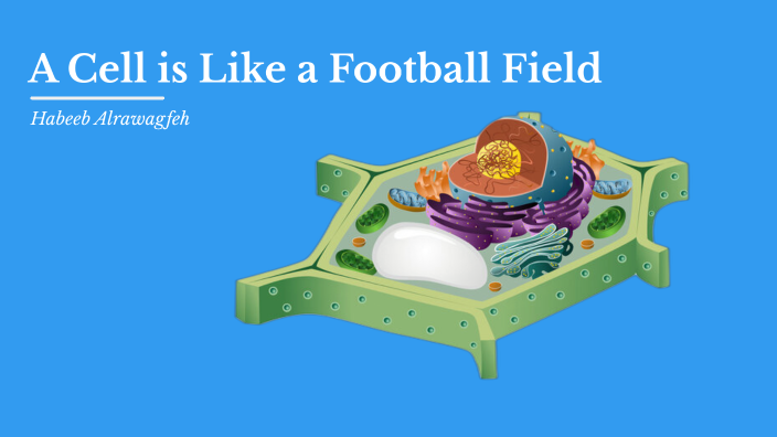 Bio Cell Project by Habeeb Alrawagfeh on Prezi