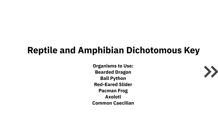 Reptile and Amphibian Dichotomous key by Reese Wantz on Prezi