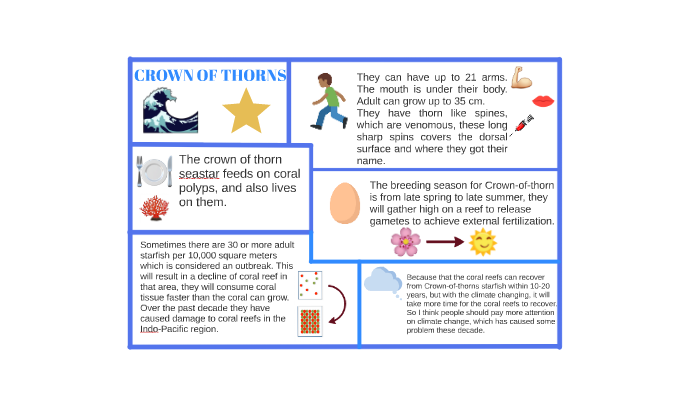 Seastars infographic with Lukie by David Wang on Prezi