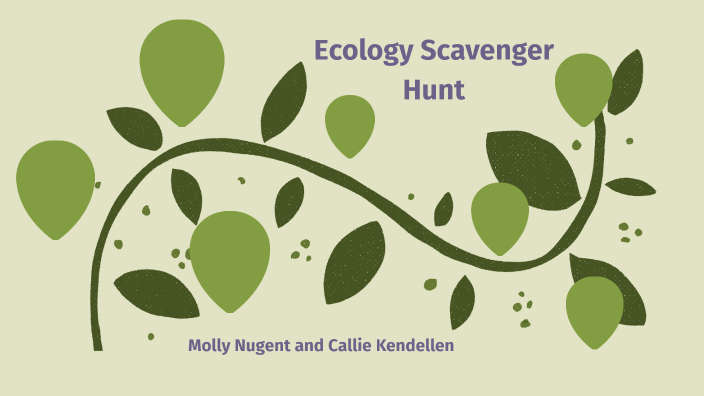 Ecology Scavenger Hunt by Molly Nugent on Prezi