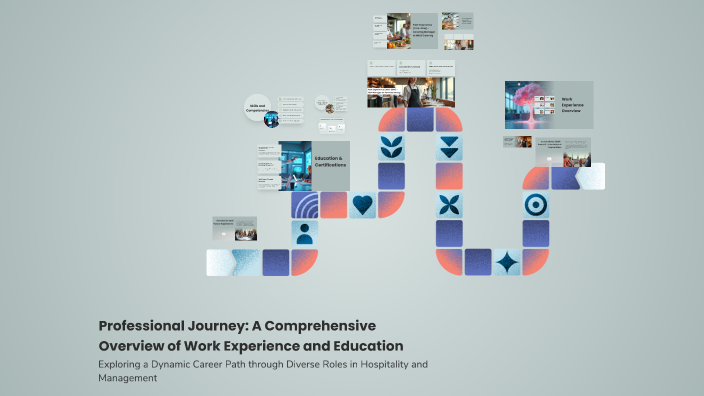 Professional Journey: A Comprehensive Overview of Work Experience and ...