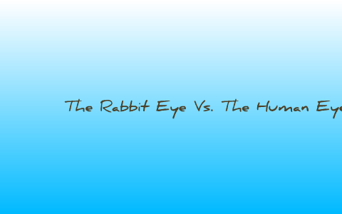 The Rabbit Eye Vs. the Human Eye by Aleksa Stanic on Prezi