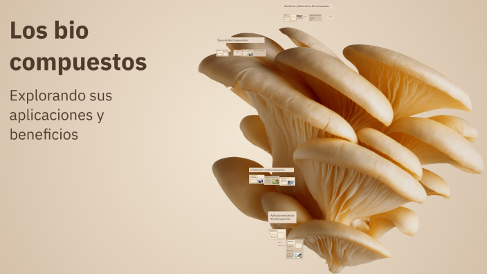 Los bio compuestos by Eustaquia Paneso on Prezi