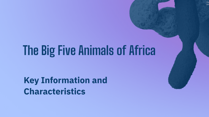 The Big Five Animals of Africa by ALTAZY on Prezi