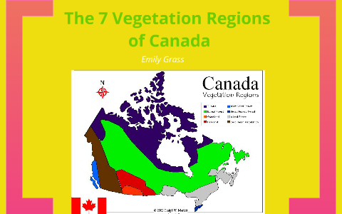 The 7 Vegetation Regions of Canada by emily grass on Prezi