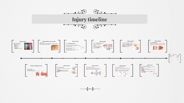 Injury timeline by alva yukee on Prezi