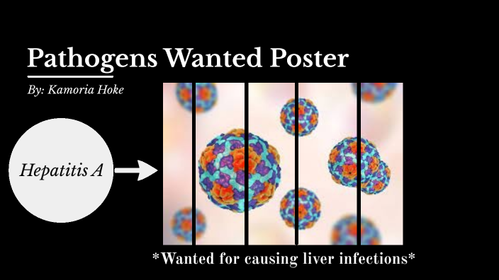 Pathogens Wanted Poster - Kamoria Hoke by Kamoria Hoke on Prezi