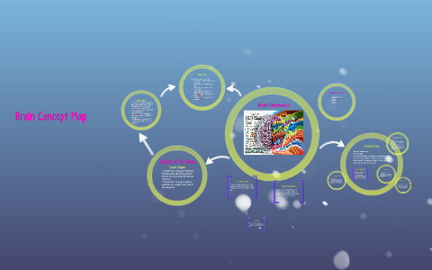 Brain Concept Map by Julia Bergeman on Prezi