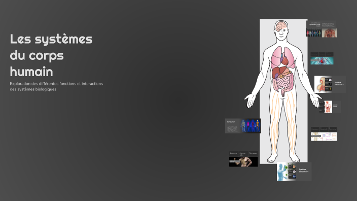 Les systèmes du corps humain by Aziz Zebboudj on Prezi
