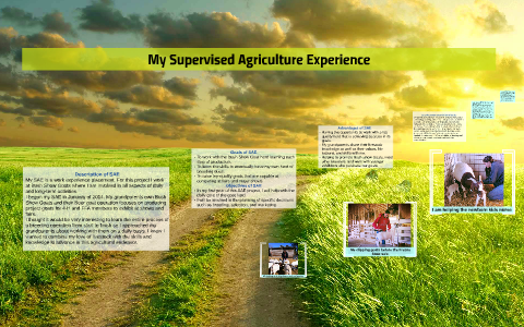 My Supervised Agriculture Experience by Madison Andrade on Prezi