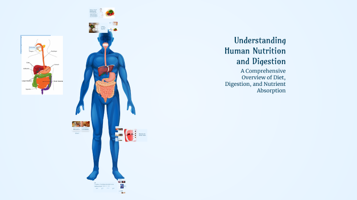 Understanding Human Nutrition and Digestion by Sujoy Saha on Prezi