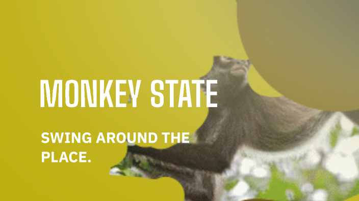 Monkey Flag Monkey State by JJ PETERS on Prezi