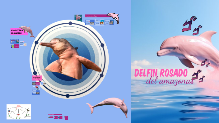 DELFIN ROSADO by Lucero Celis V. Sistemas USAT on Prezi